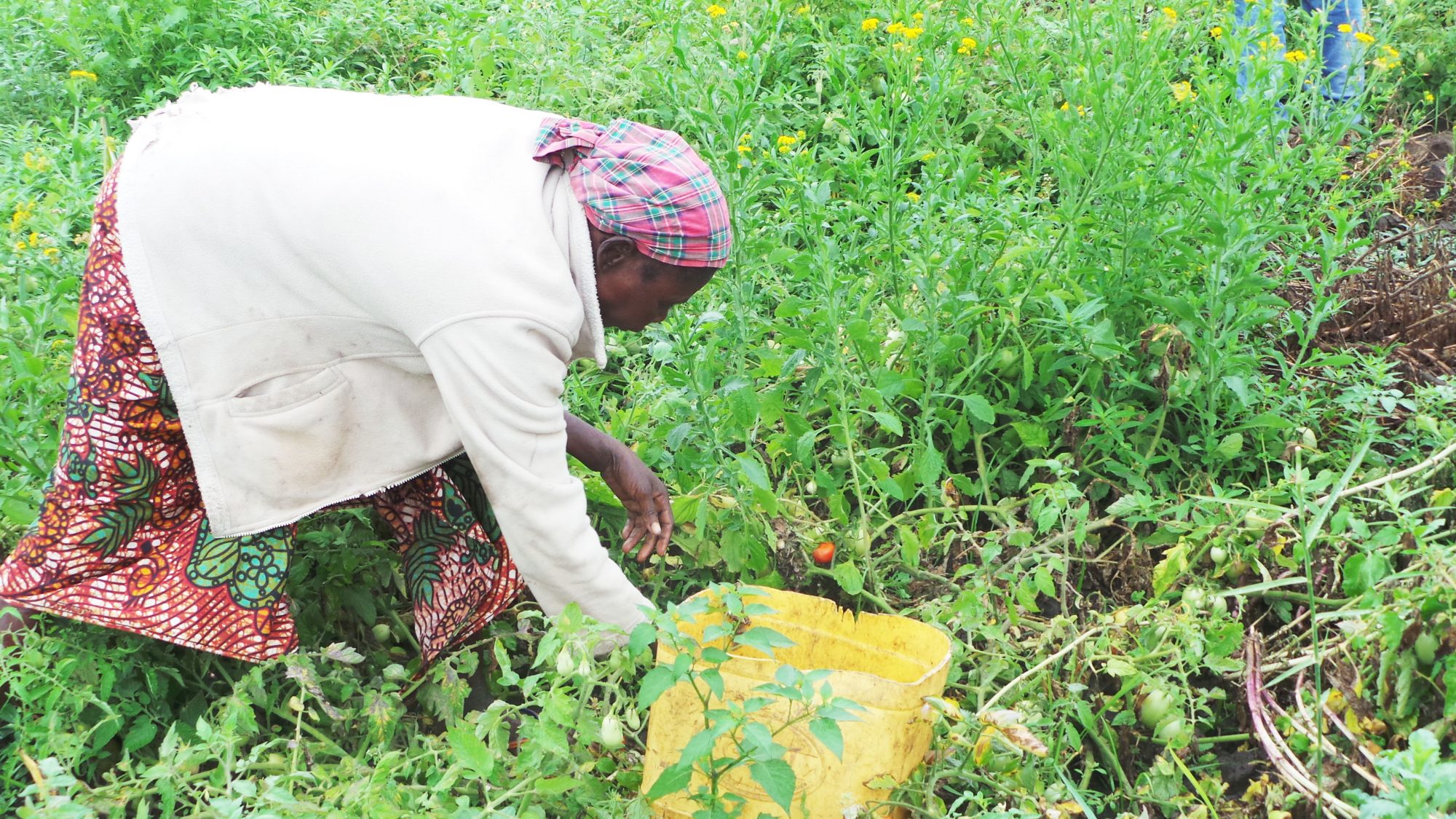 Emergency | ADRA Mozambique