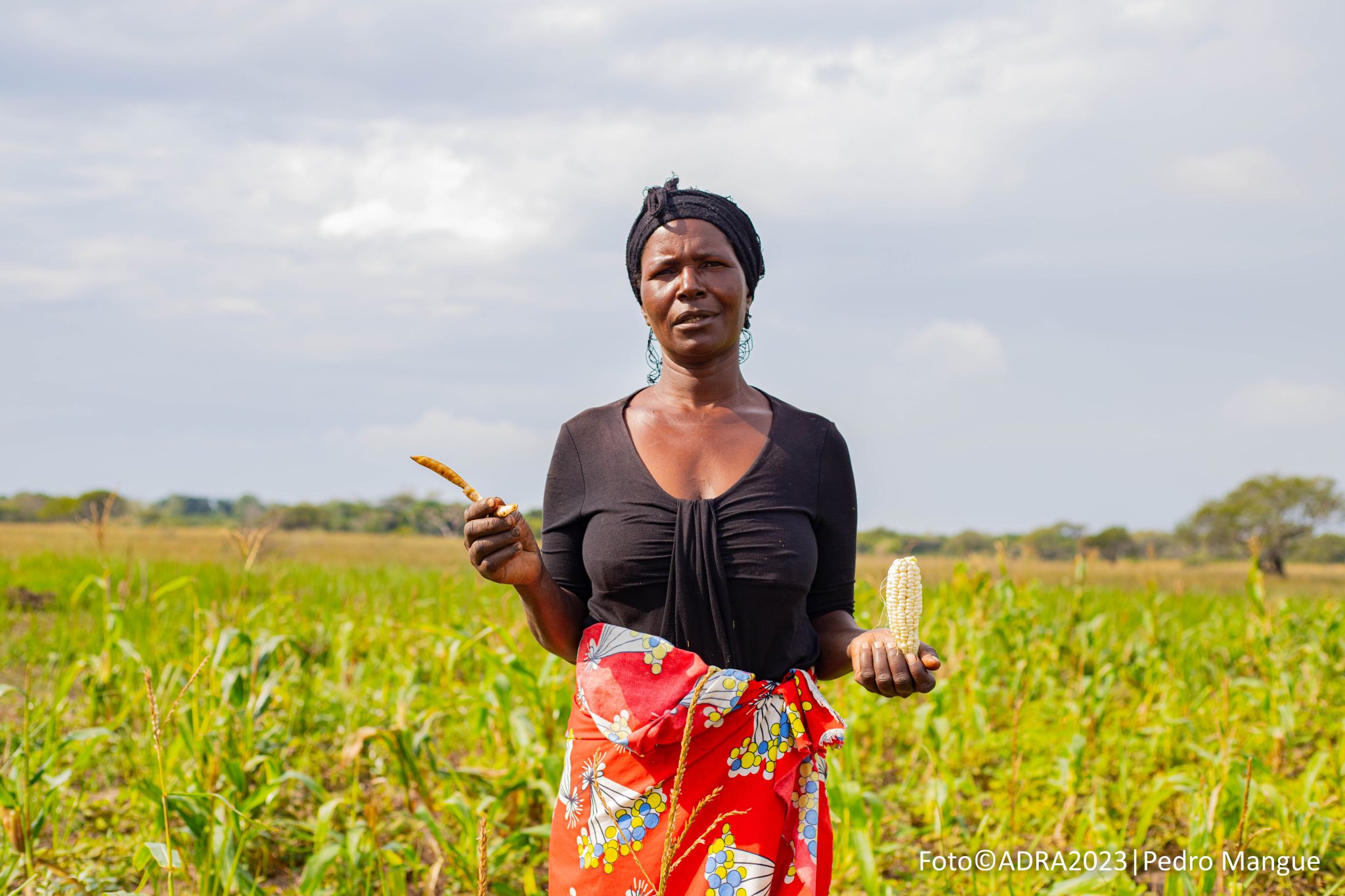 Projeto Kuvikela promove actividades de vermicompostagem em Matutuíne ...