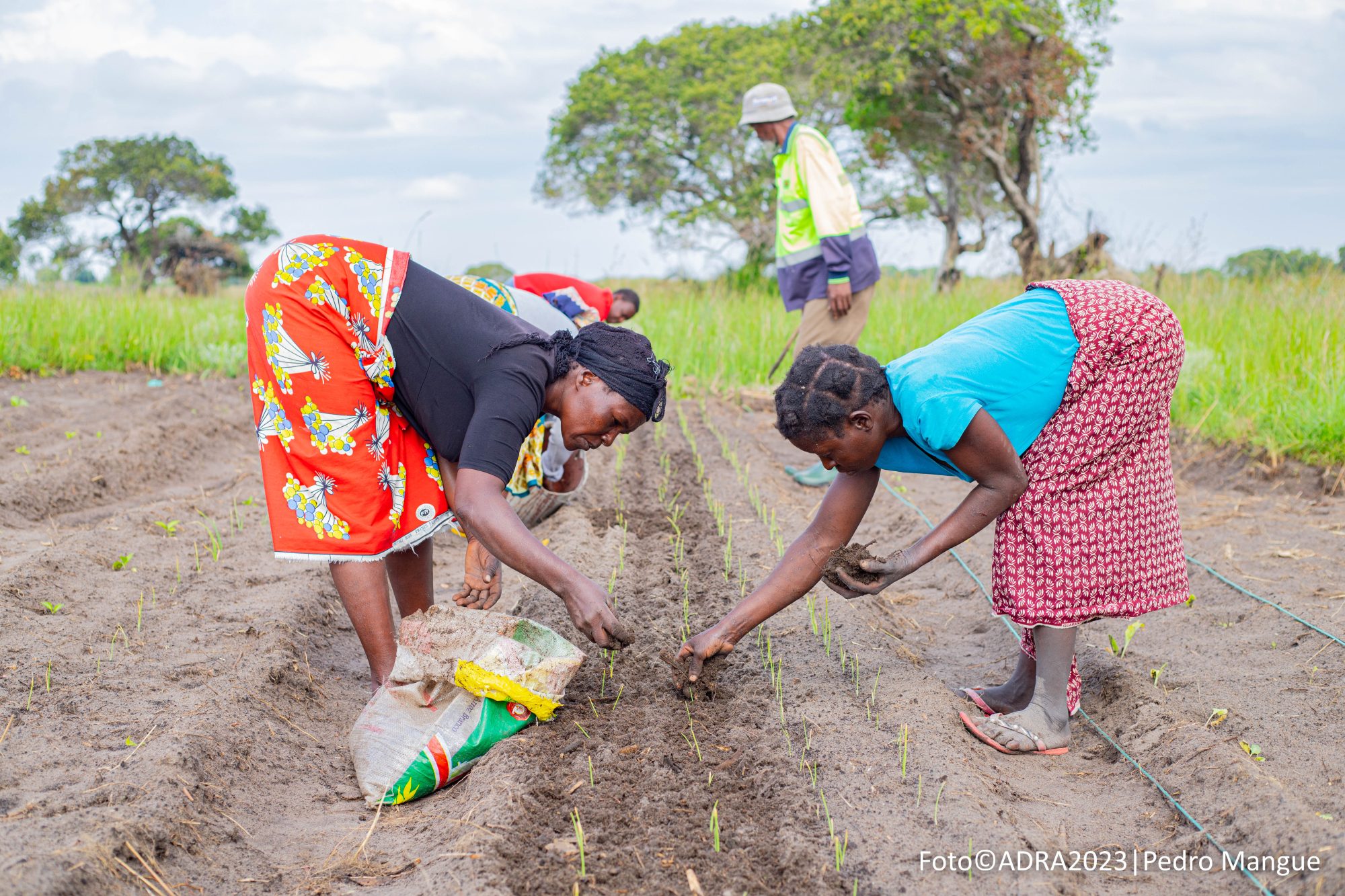 Projeto Kuvikela promove actividades de vermicompostagem em Matutuíne ...